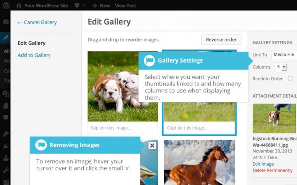 Easy WP Guide 2.7 is Released - Easy WP Guide