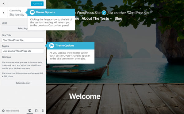 Customizing your Site - Easy WP Guide